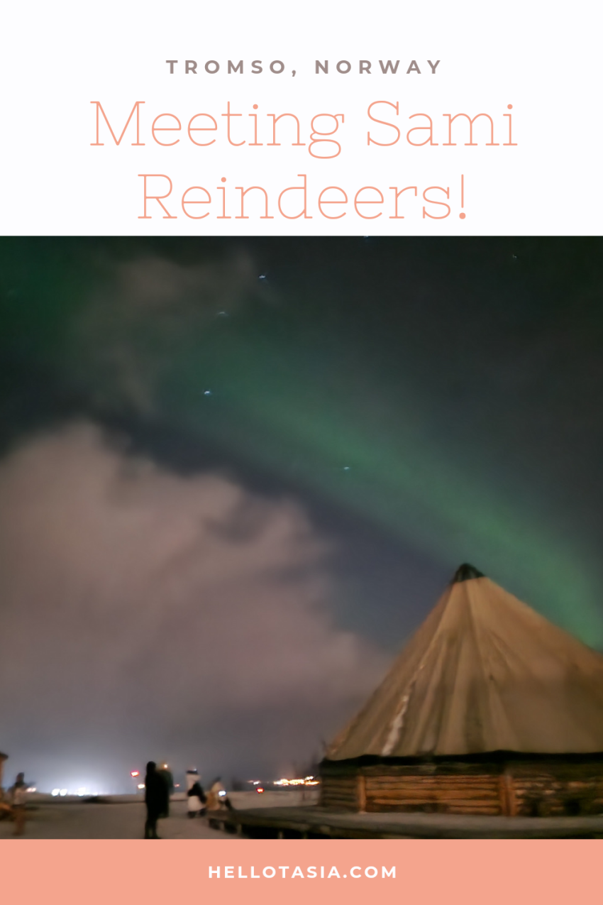 Feeding Reindeer and Learning about Sami Culture - Hello Tasia!