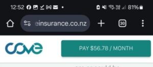Buying New Zealand Car Insurance for Working Holiday Visa Holders!