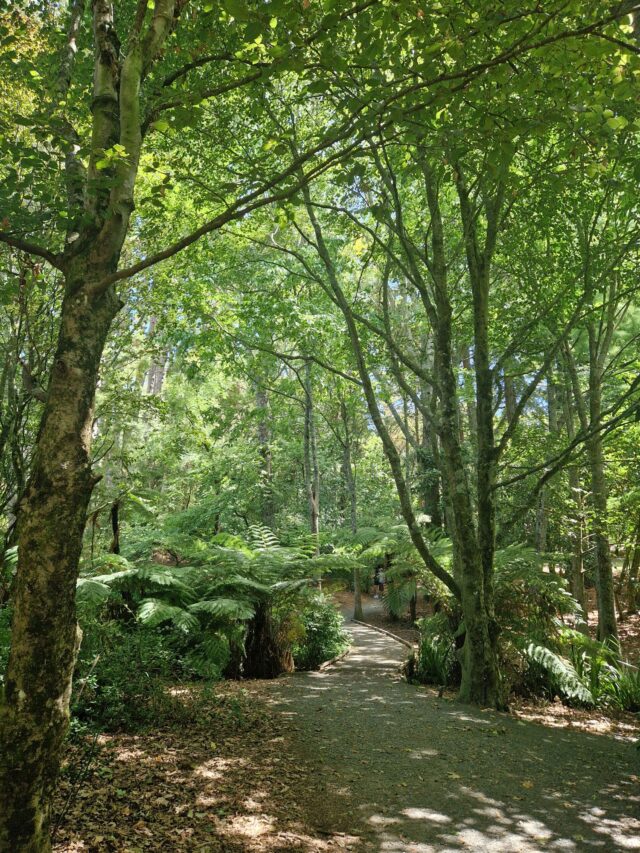 Free Things to do in Hamilton, New Zealand! - Hello Tasia!