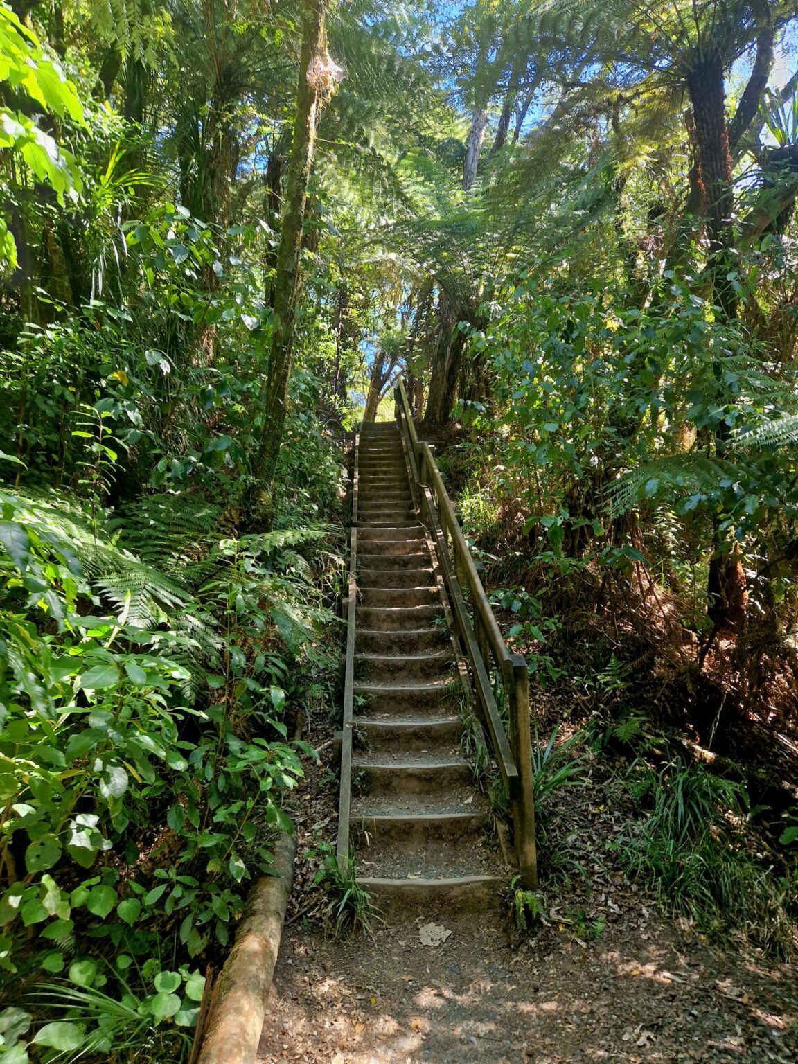 Best Day Trips from Hamilton, New Zealand - Hello Tasia!