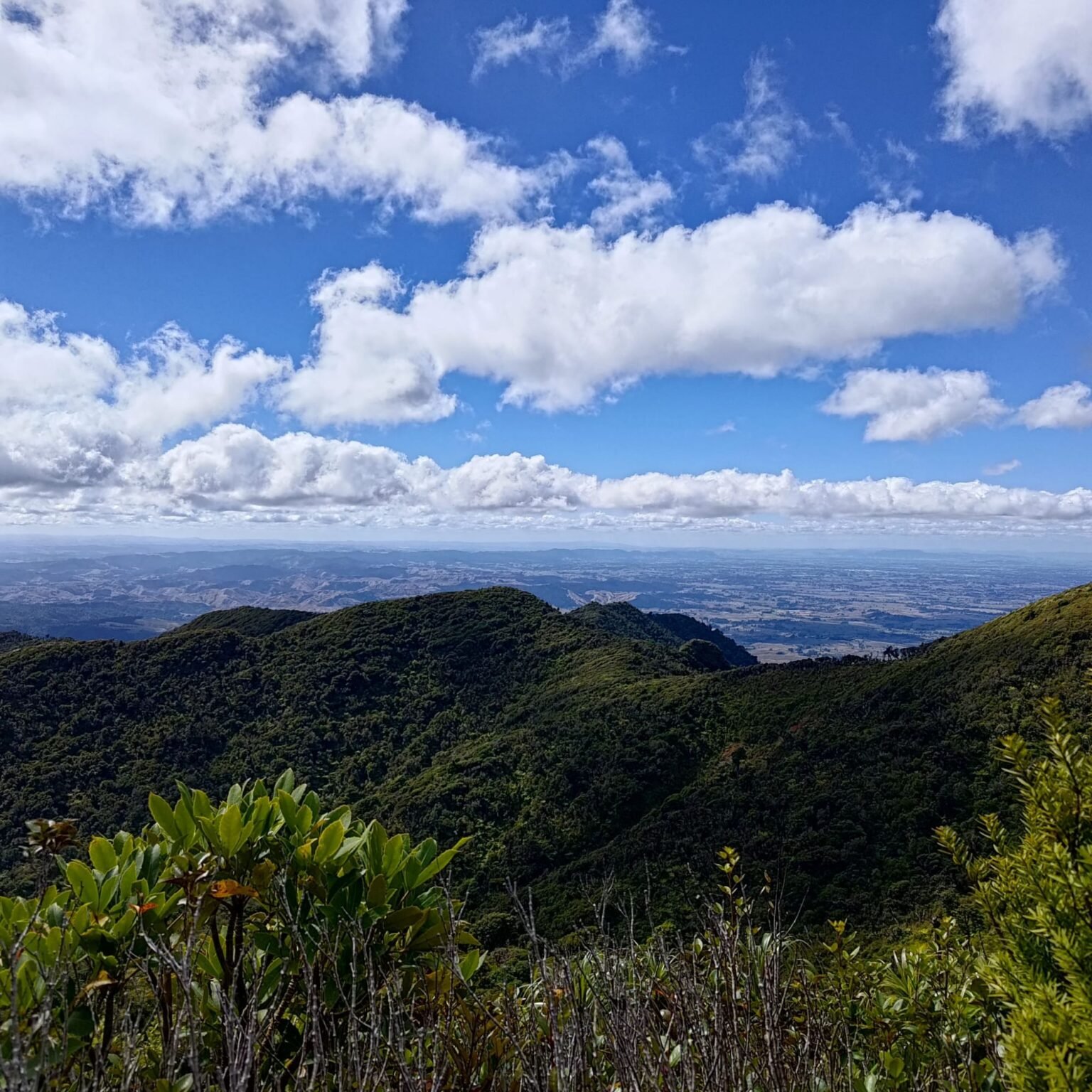 Best Day Trips from Hamilton, New Zealand - Hello Tasia!